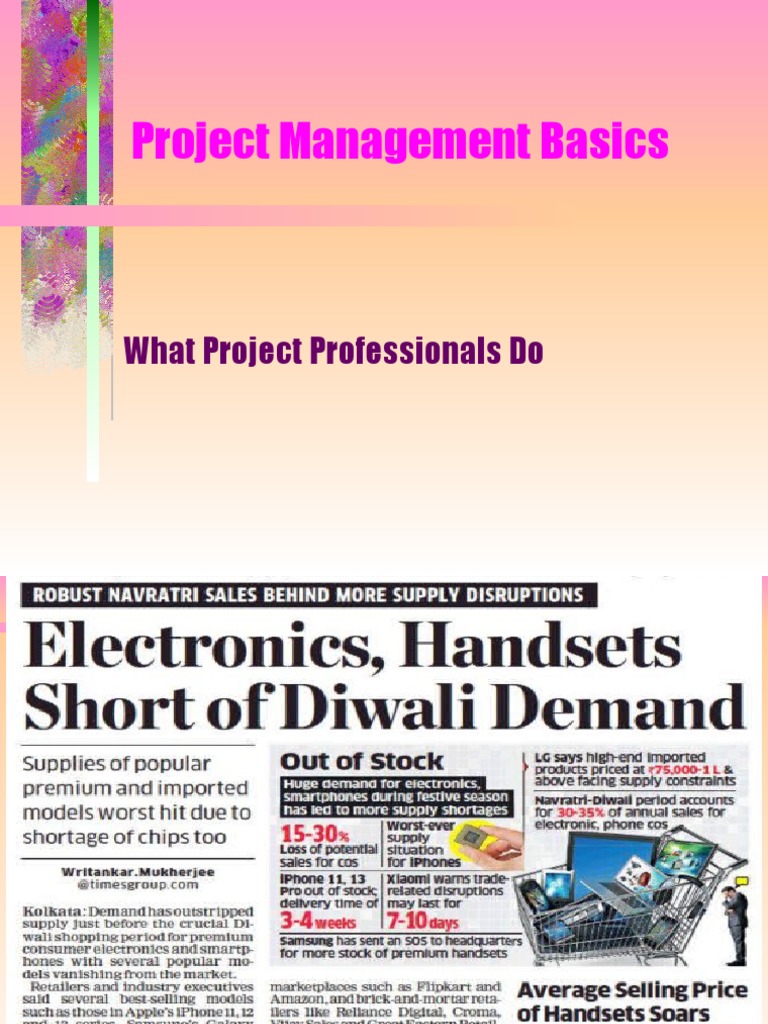 Project Management Basics: What Project Professionals Do | PDF ...