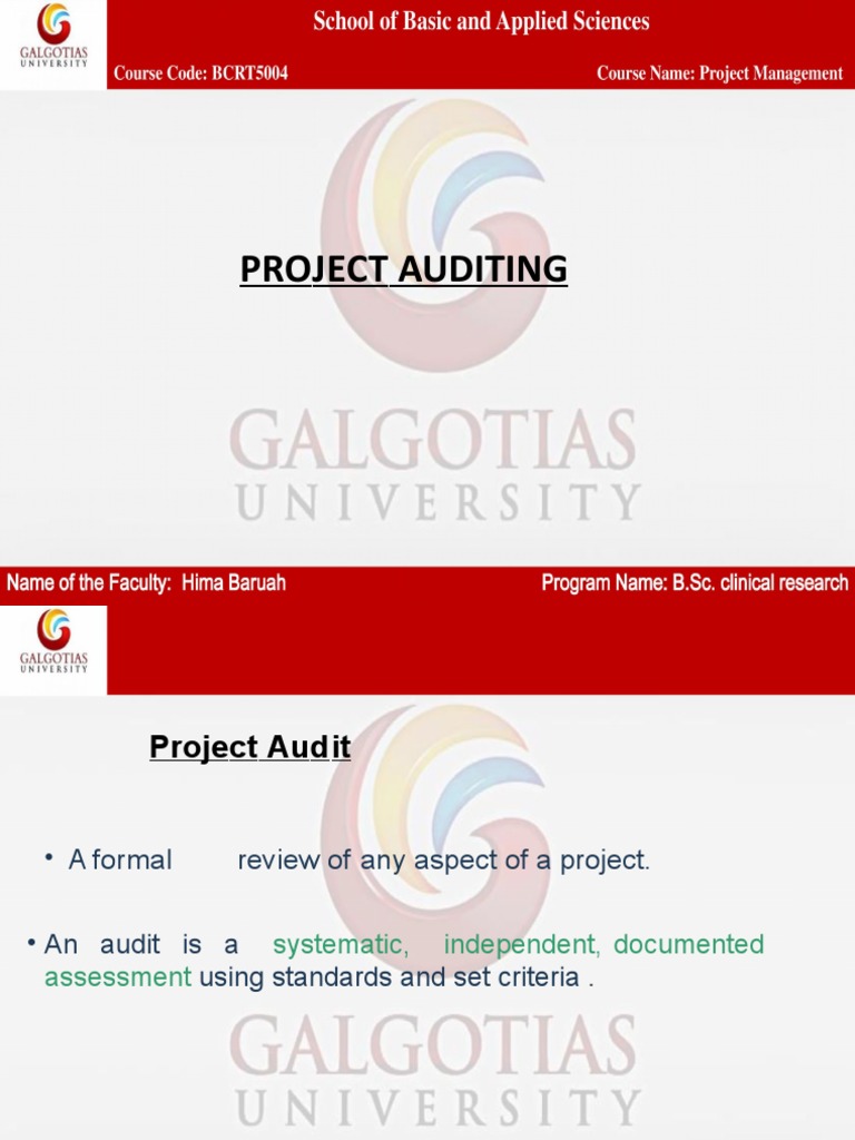 Project Audit | Download Free PDF | Audit | Risk
