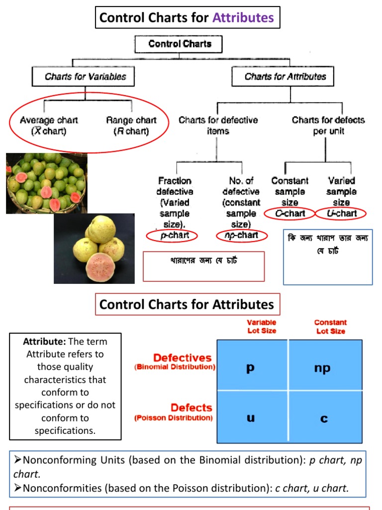 3 Control Charts P NP C U | PDF | Probability Distribution | Sample ...