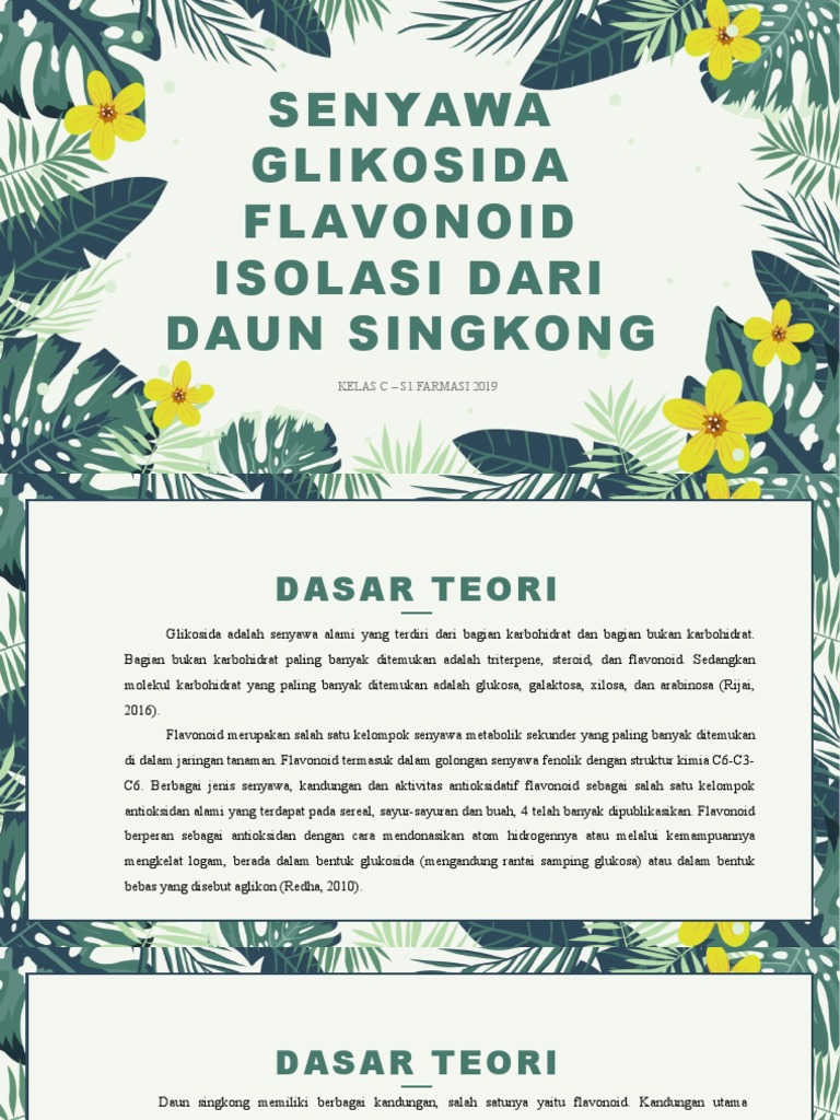 Isolasi Flavonoid Daun Singkong | PDF