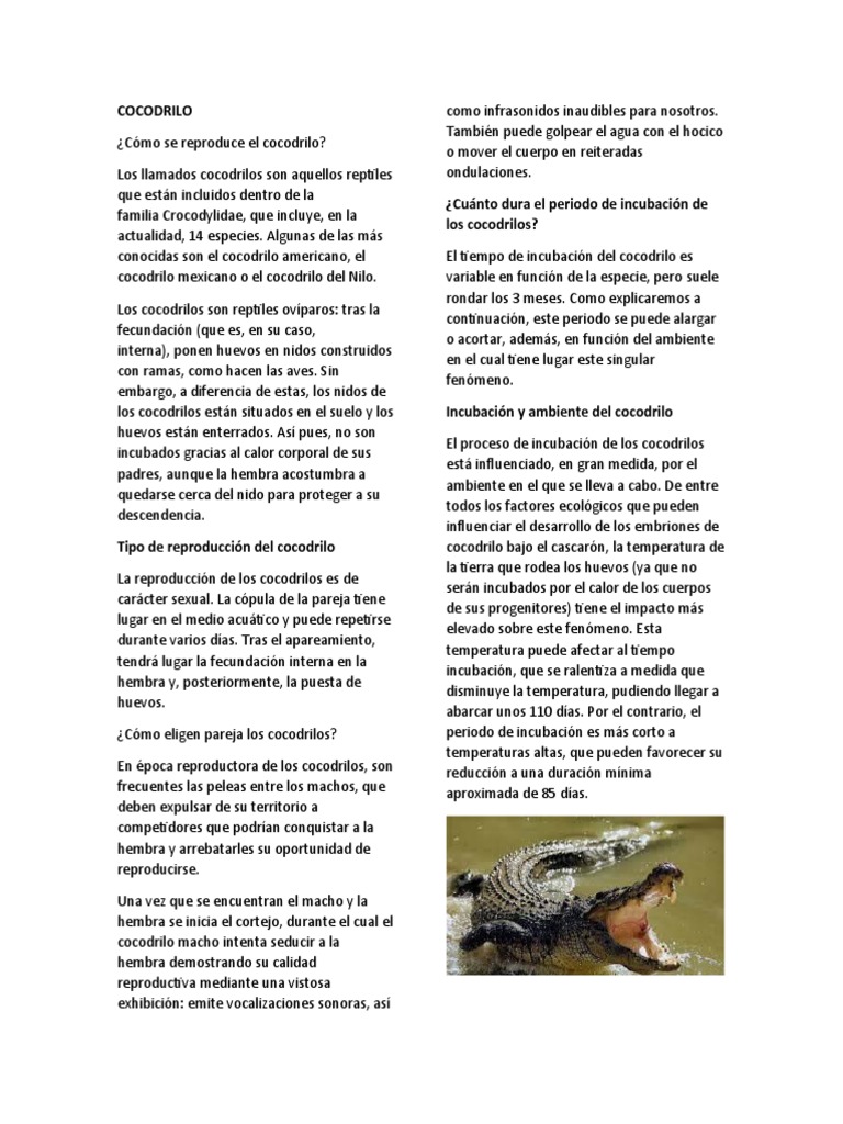 Cocodrilo | PDF | Aves | Huevo