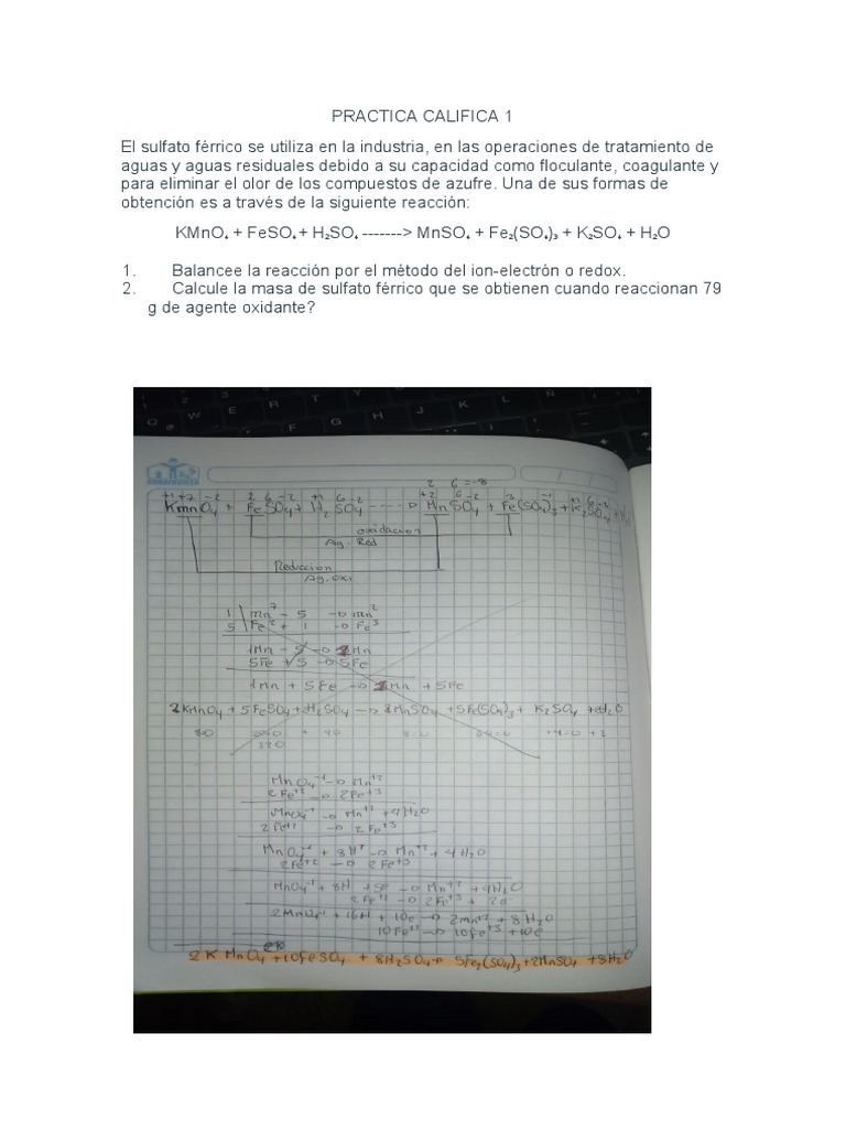Practica Califica 1 | PDF