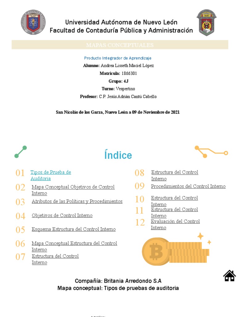 Mapas Conceptuales de Control Interno | PDF | Cognición
