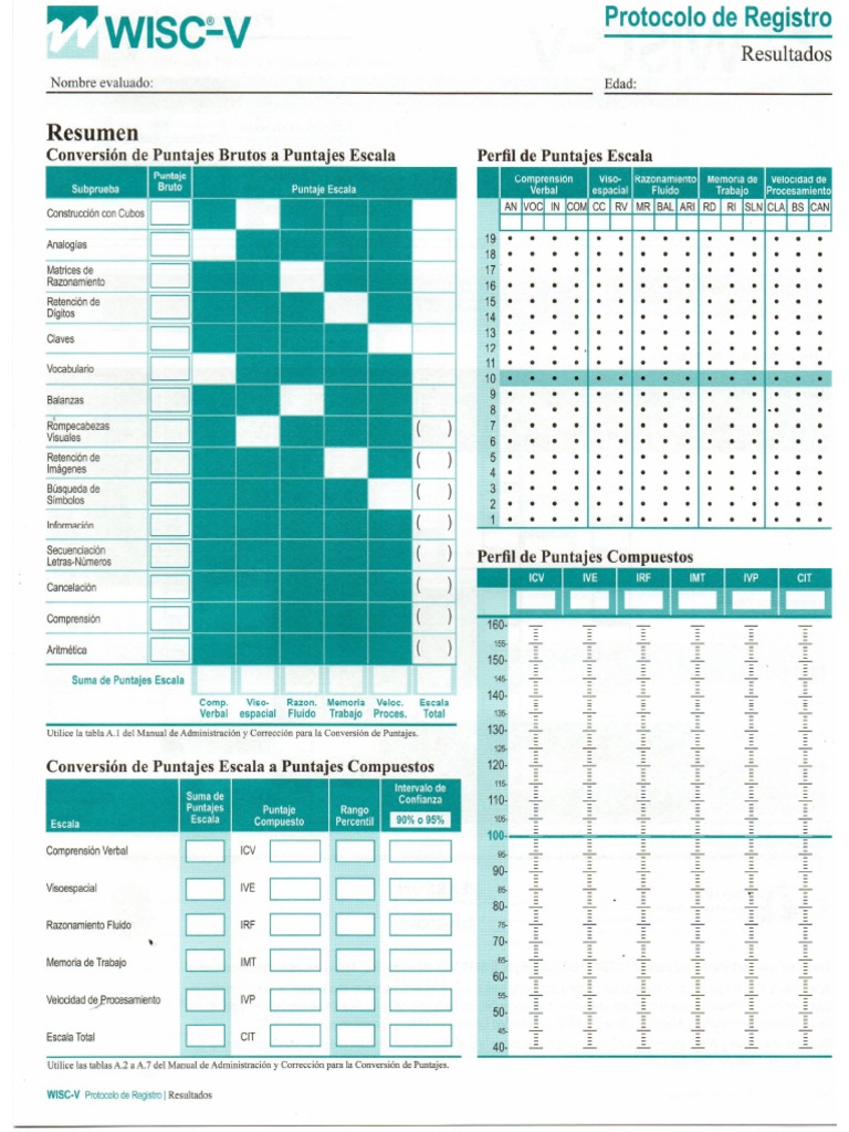 Wisc V Protocolo | PDF