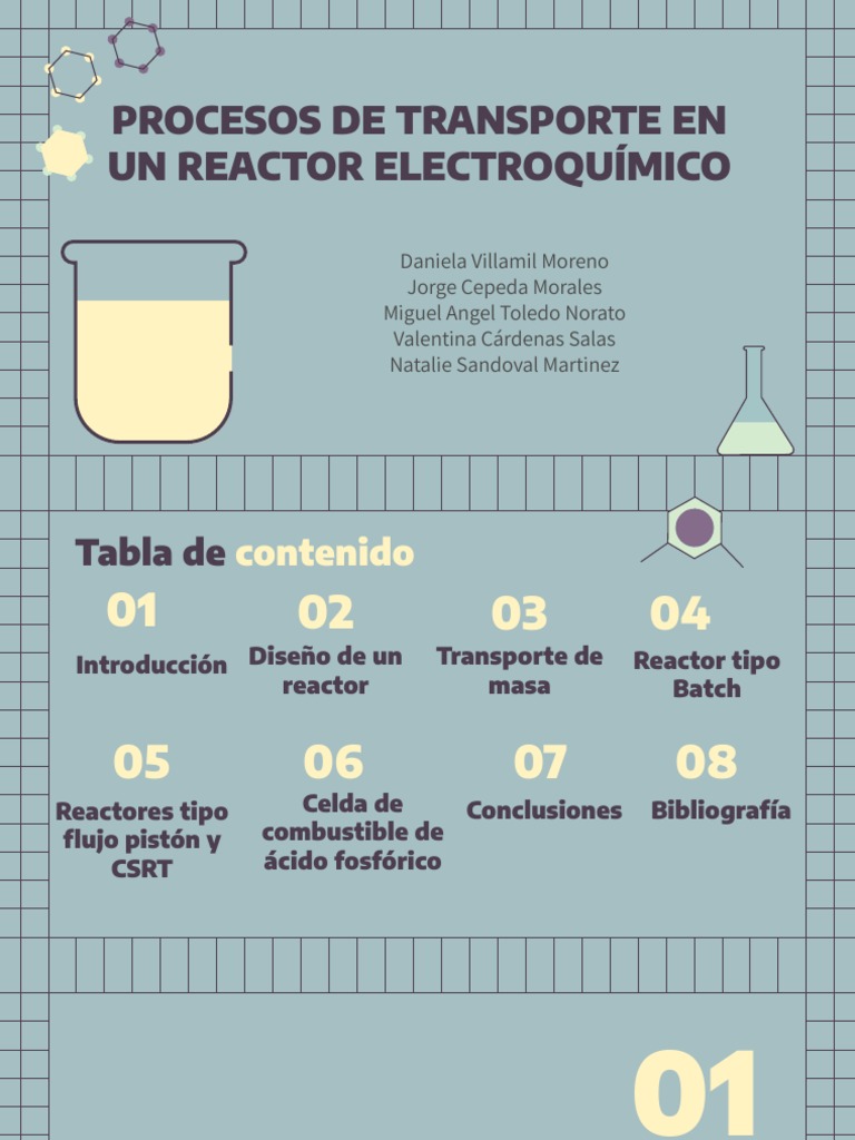 Transporte en Reactores Electroquímicos | PDF | Reactor Quimico ...