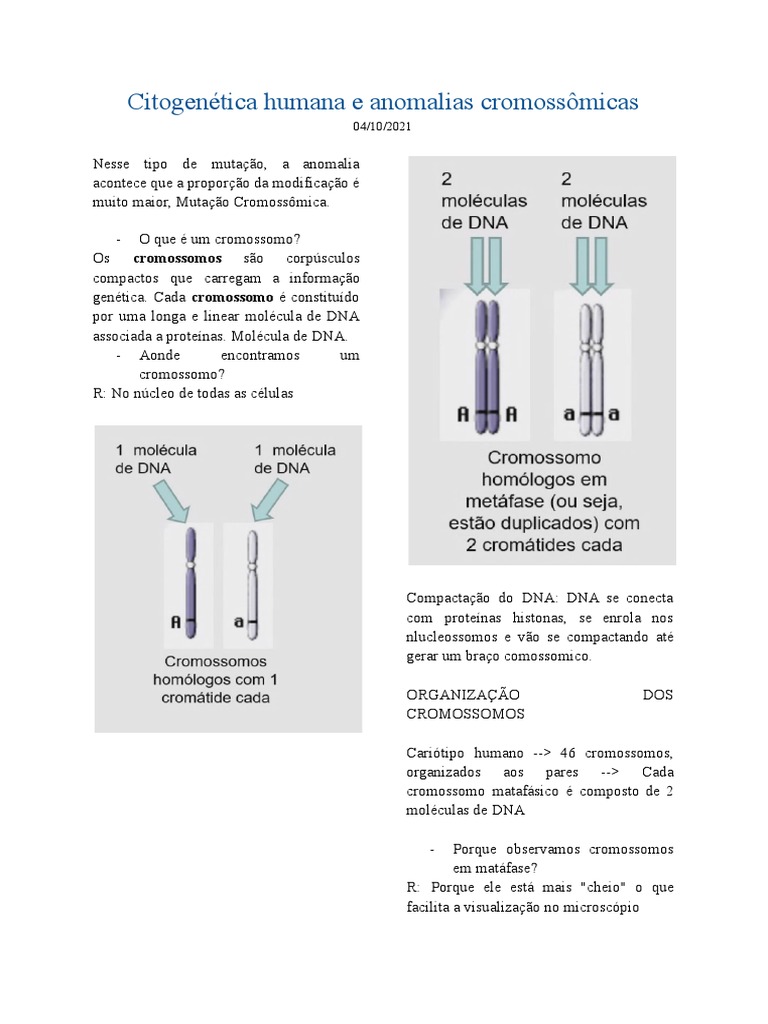 Citogenética Humana e Anomalias Cromossômicas | PDF | Cromossomo ...