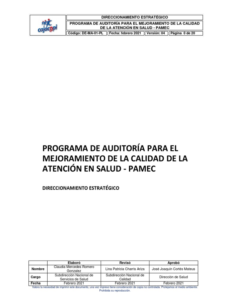 PAMEC Ejemplo | PDF | Calidad (comercial) | Auditoría