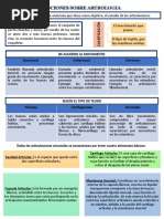 Generalidades de Articulaciones | PDF | Articulación | Sistema musculoesquelético