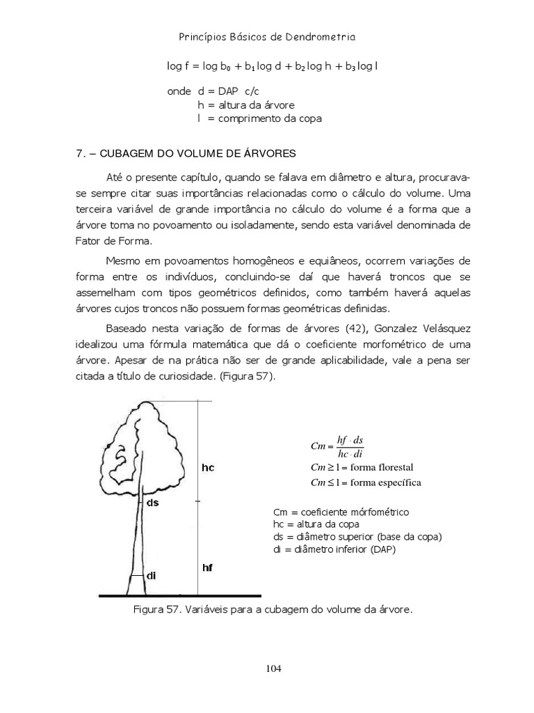 Princípios Básicos de Dendrometria CAP 7 | PDF | Árvores | Madeira