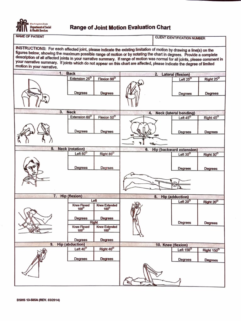 ROM Evaluation Chart | PDF | Anatomical Terms Of Motion | Anatomy