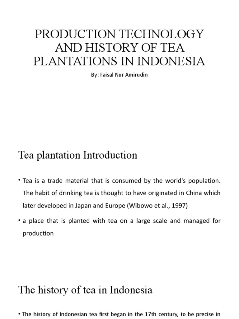 Tea Production Technology in Indonesia | PDF | Tea | Plants