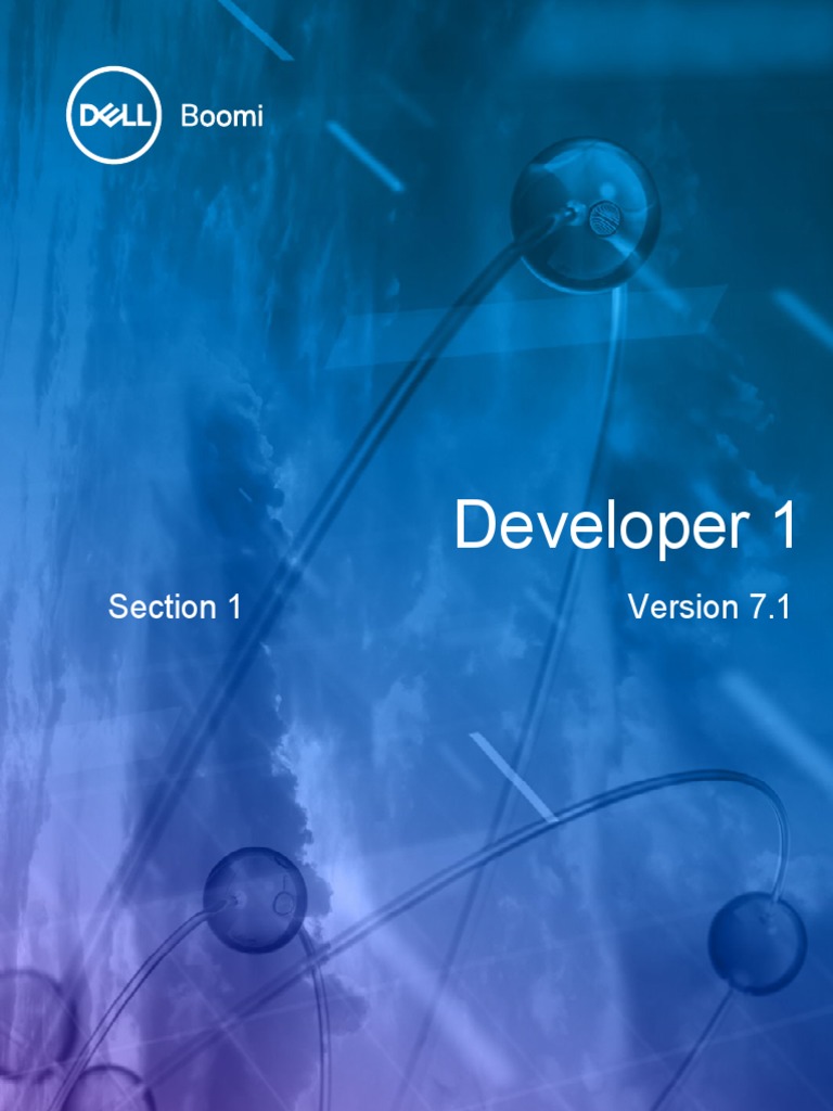 DEV1 Section1 Activities V7.1 | PDF | Databases | Sql