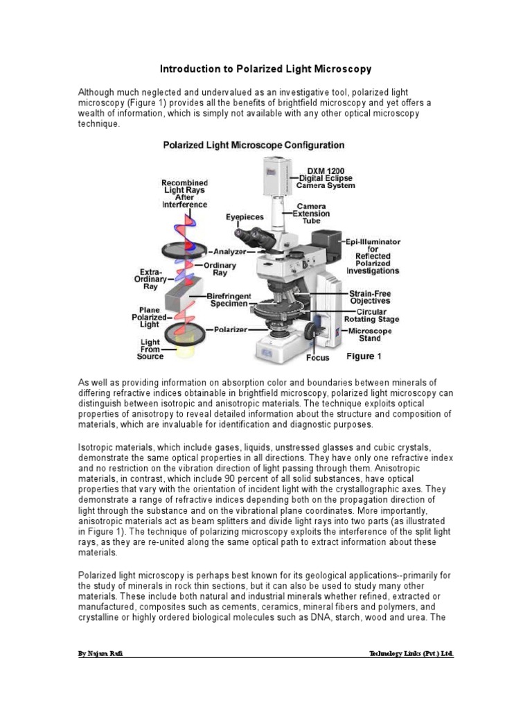 Introduction To Polarized Light Micros | PDF | Fluorescence Microscope | Polarization (Waves)