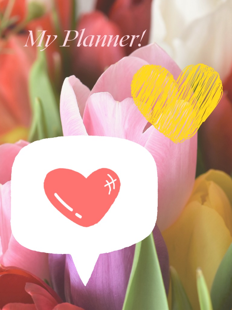 Mi Planner | PDF