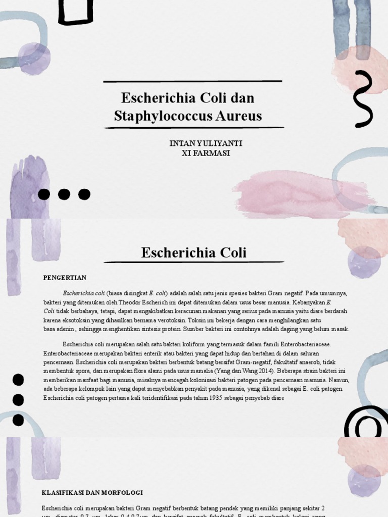 Materi E. Coli Dan Staphylococus - Intan Yuliyanti | PDF | Sains ...