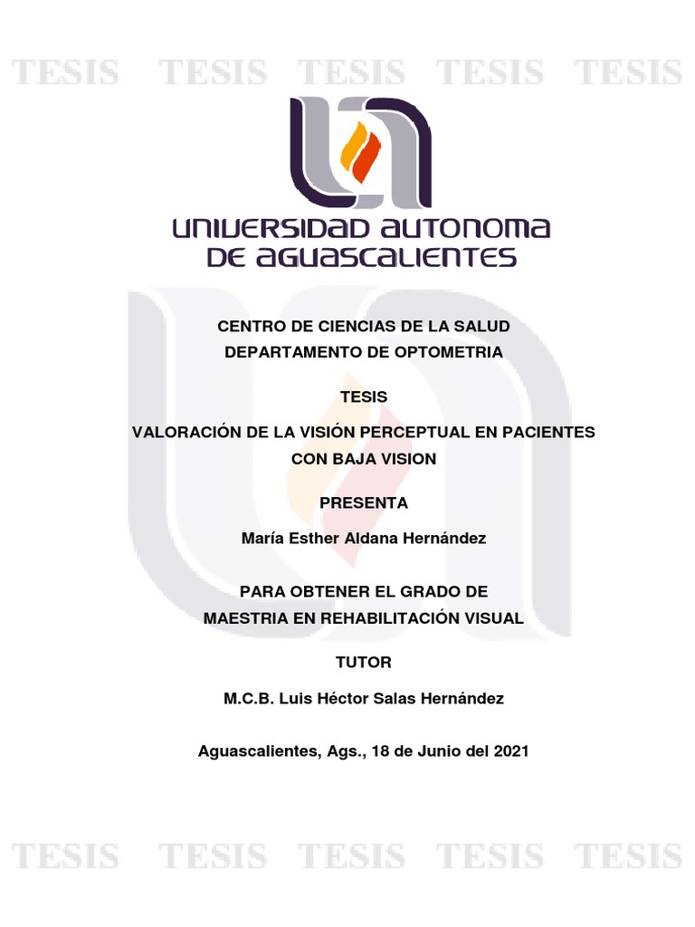 Evaluación de las habilidades perceptuales en pacientes con baja visión ...