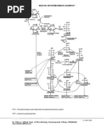 Phosphoketolase Pathway Insights | PDF | Fermentation | Metabolic Pathway
