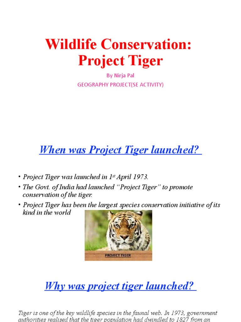 Wildlife Conservation: Project Tiger: by Nirja Pal Geography Project ...