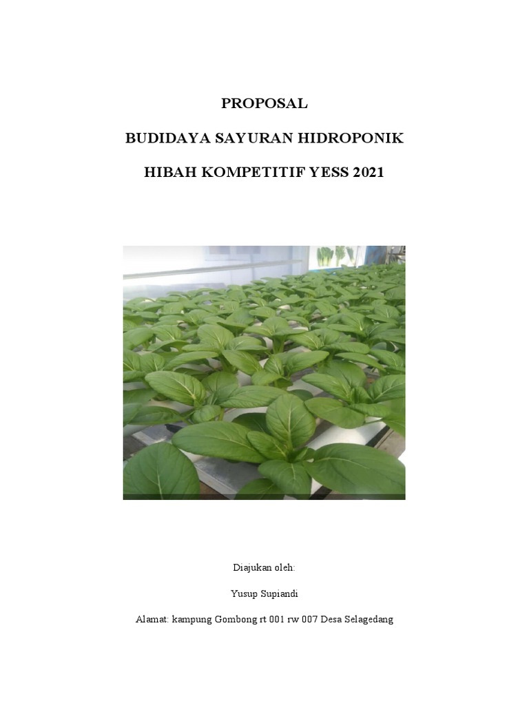 Proposal Budidaya Sayuran Hidroponik | PDF | Teknologi & Rekayasa