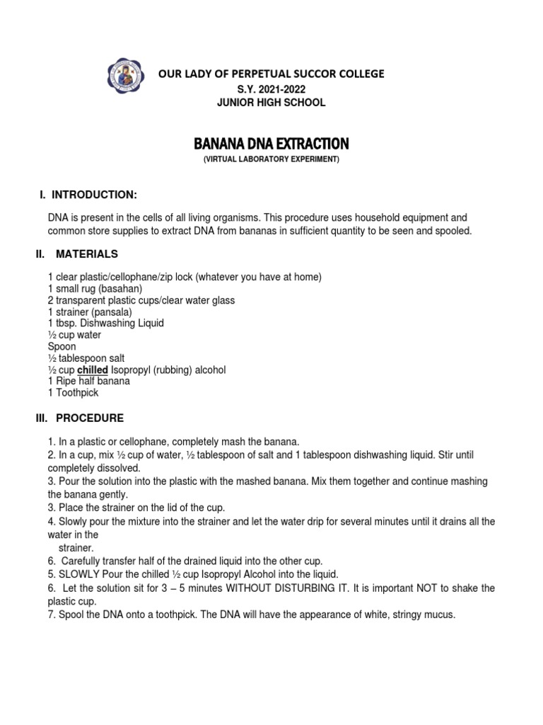 Extraction of Banana DNA Through a Simple Home Experiment | PDF | Dna ...