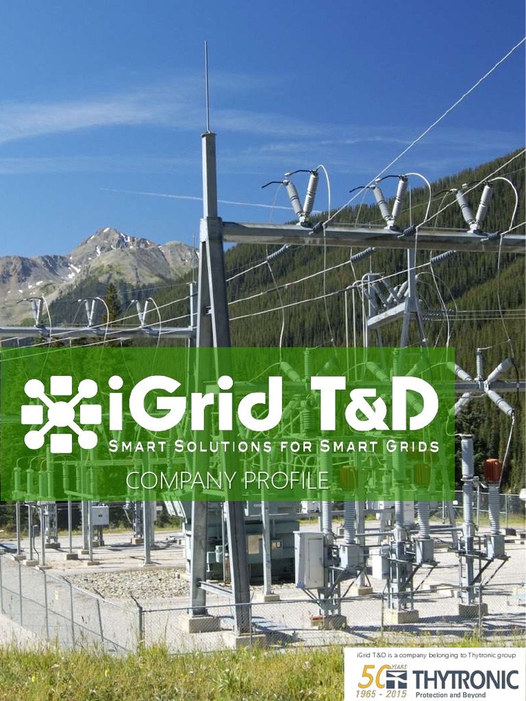 Company Profile: Igrid T&D Is A Company Belonging To Thytronic Group ...