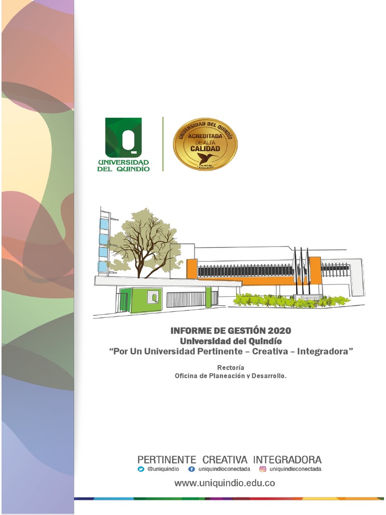 Informe de Gestion - 2020 | PDF