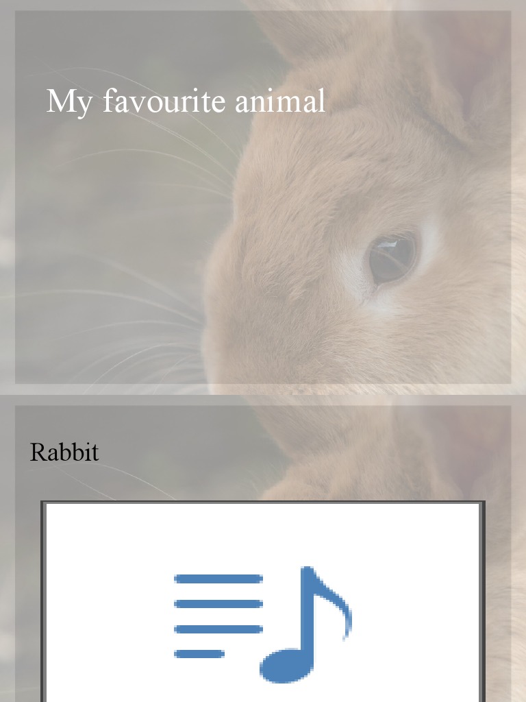 My Favourite Animal | PDF
