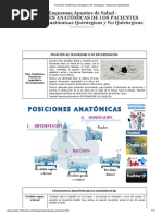 Posicion Flower Semiflower | PDF