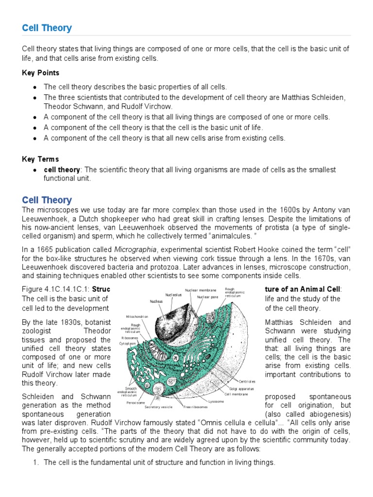 Cell Theory | PDF | Cell Biology | Science