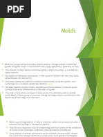 Mold Morphology and Structure Overview | PDF | Mold | Fungus