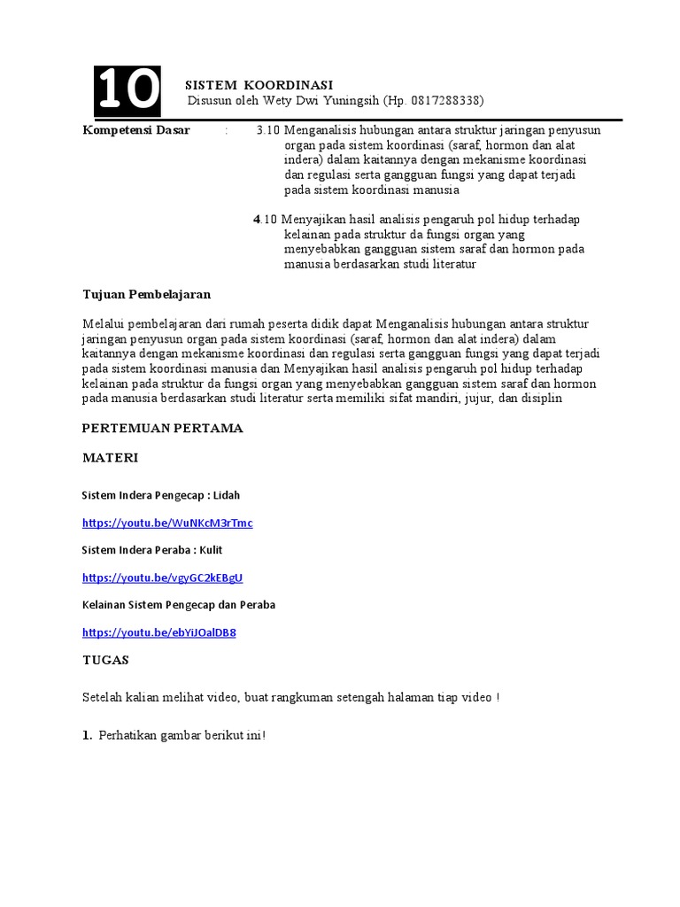 Struktur Indera Pengecap dan Peraba | PDF