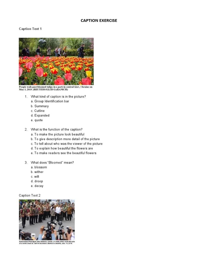 Caption Exercise 3 | PDF