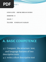 Descriptive Text: Cats and Pets | PDF | Human–Animal Interaction | Pet
