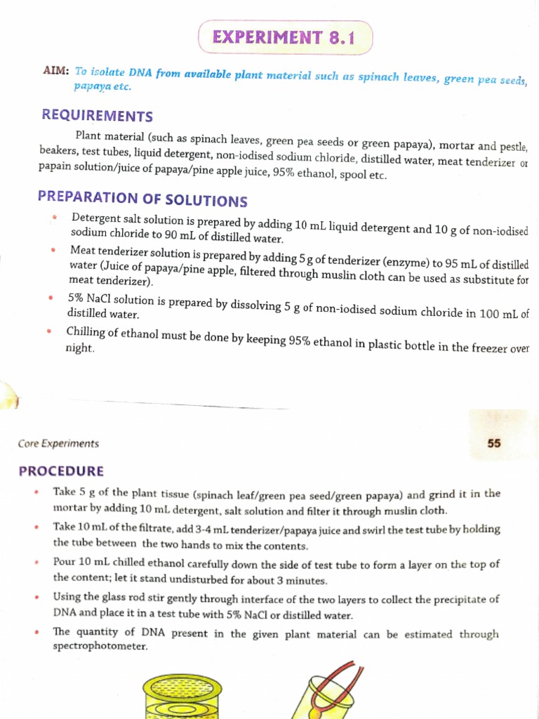 Experiment 6 - Isolation of Dna From Plant Material | PDF | Sodium ...