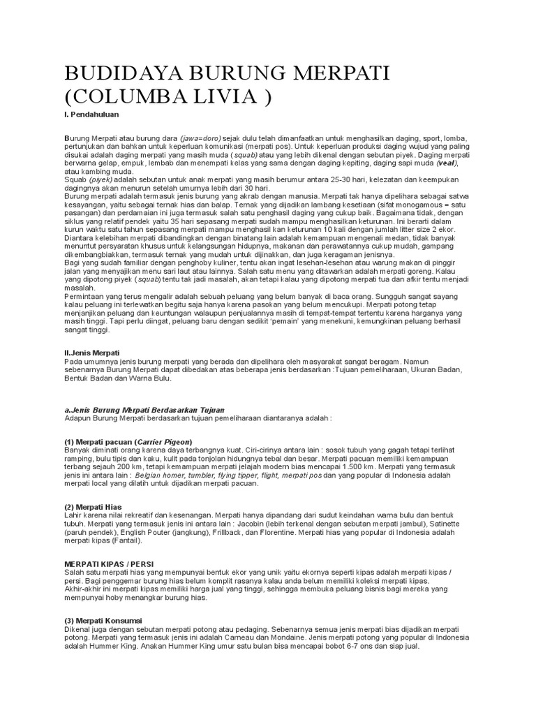 BUDIDAYA BURUNG MERPATI Daging | PDF