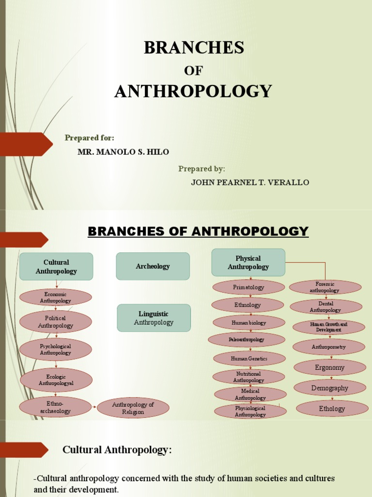 Branches Anthropology: Prepared For | PDF | Anthropology | Human