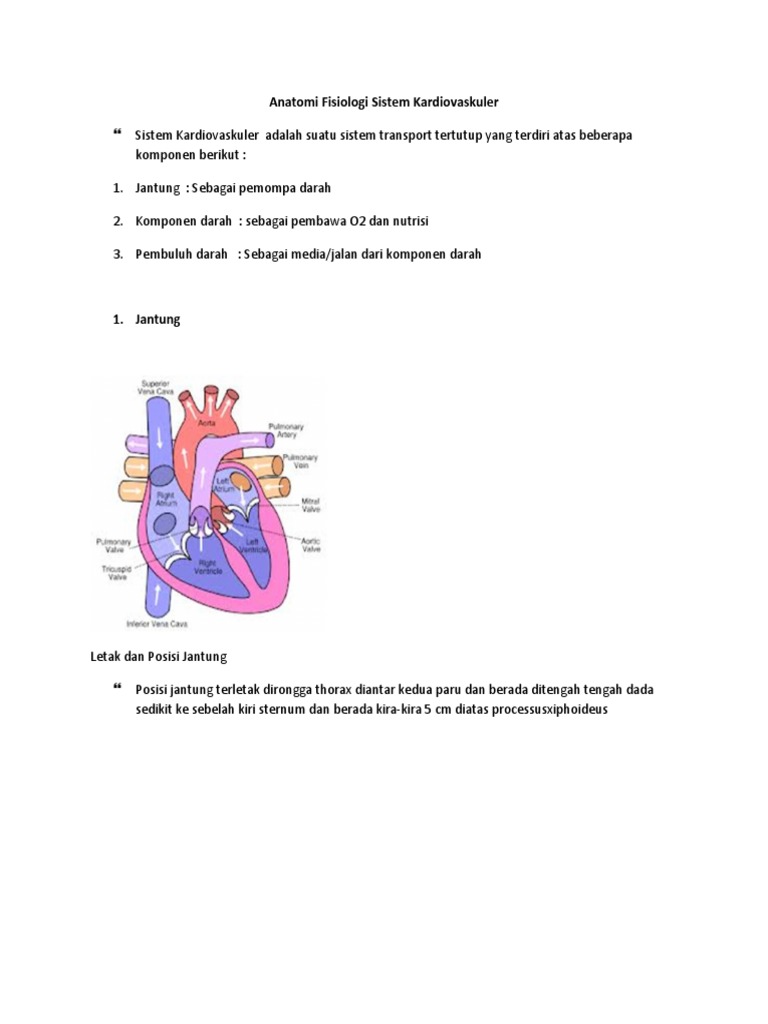 Anatomi Fisiologi Sistem Kardiovaskuler - KDK | PDF