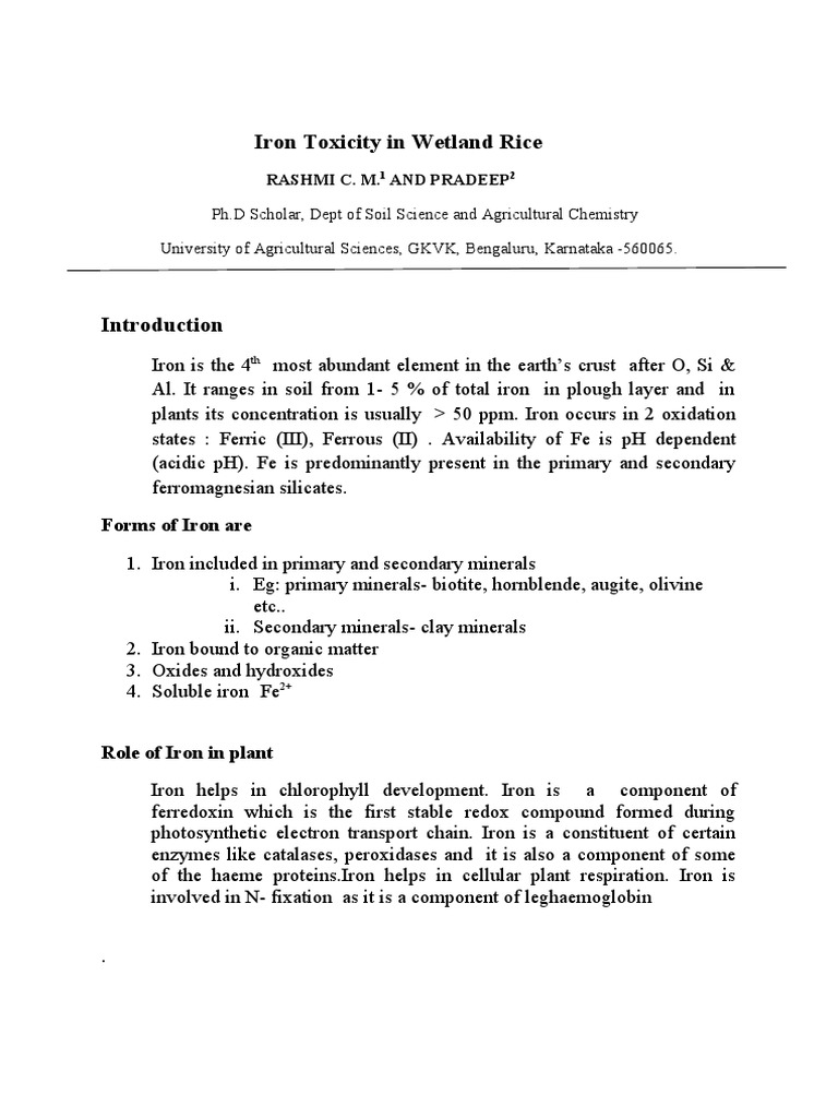 Iron Toxicity in Wetland Rice: Rashmi C. M. and Pradeep | PDF | Iron ...