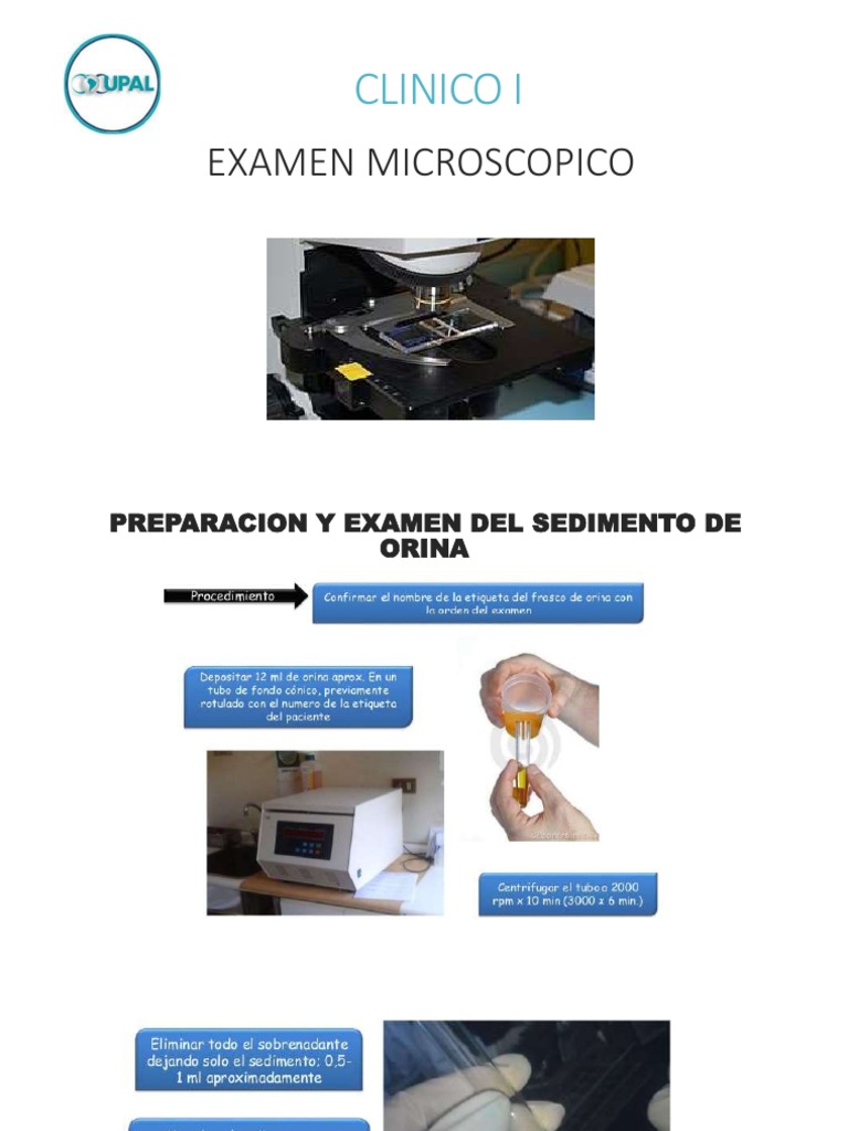 Unidad 6 Examen Microscopico Orina | PDF