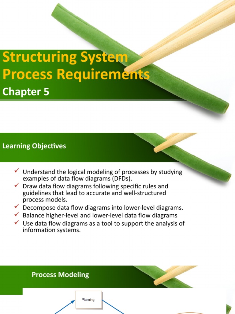 Structuring System Process Requirements | PDF | Cognitive Science | Computing