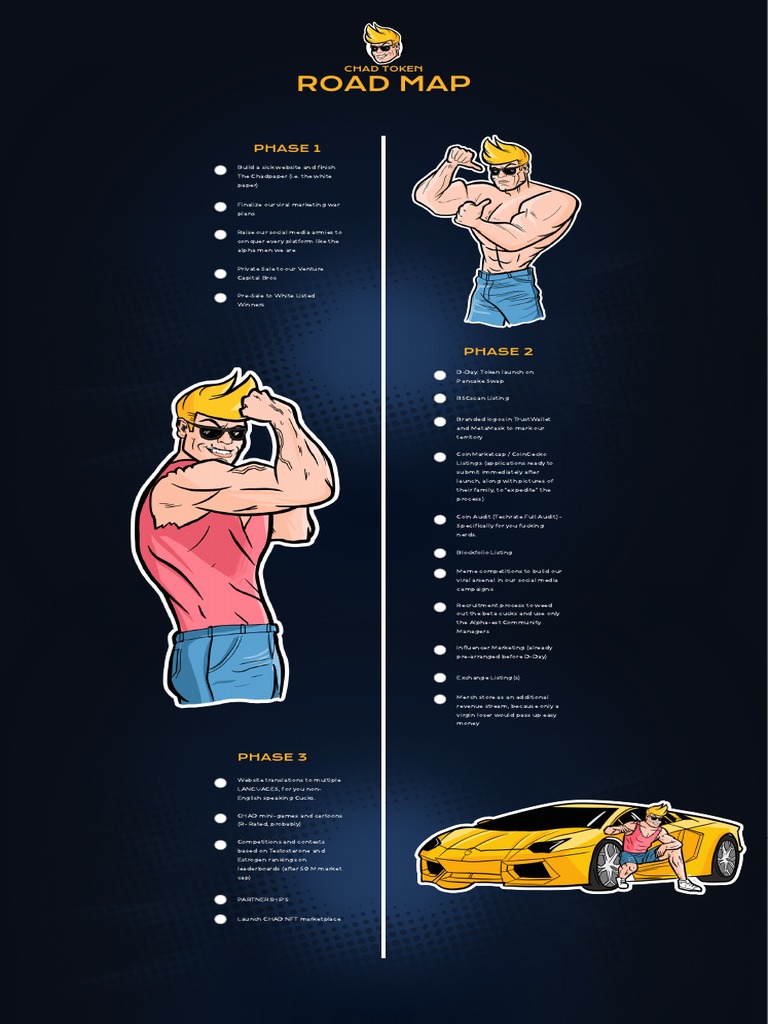 Roadmap Chad PDF | PDF | Communication | Mass Media