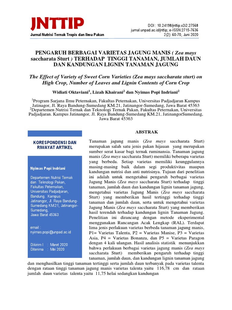 Oktaviani Et Al 2020 | PDF