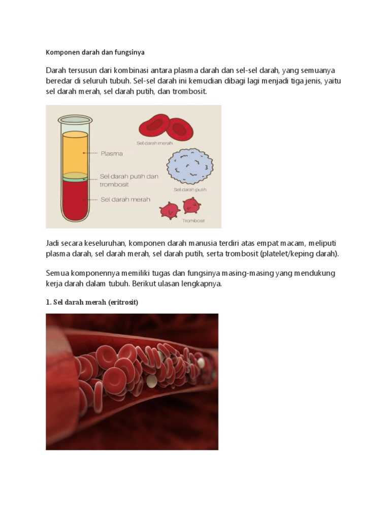 Komponen Darah Dan Fungsinya | PDF