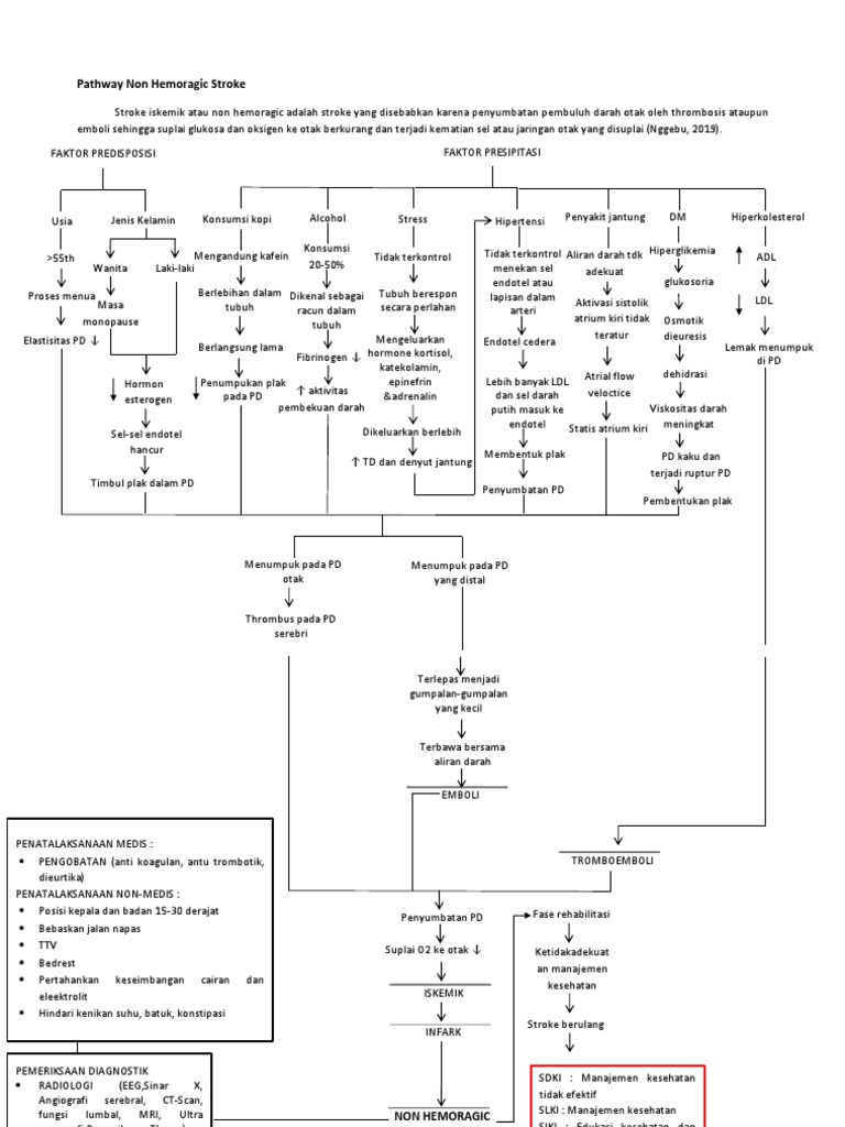 Panduan Stroke Non Hemoragik | PDF