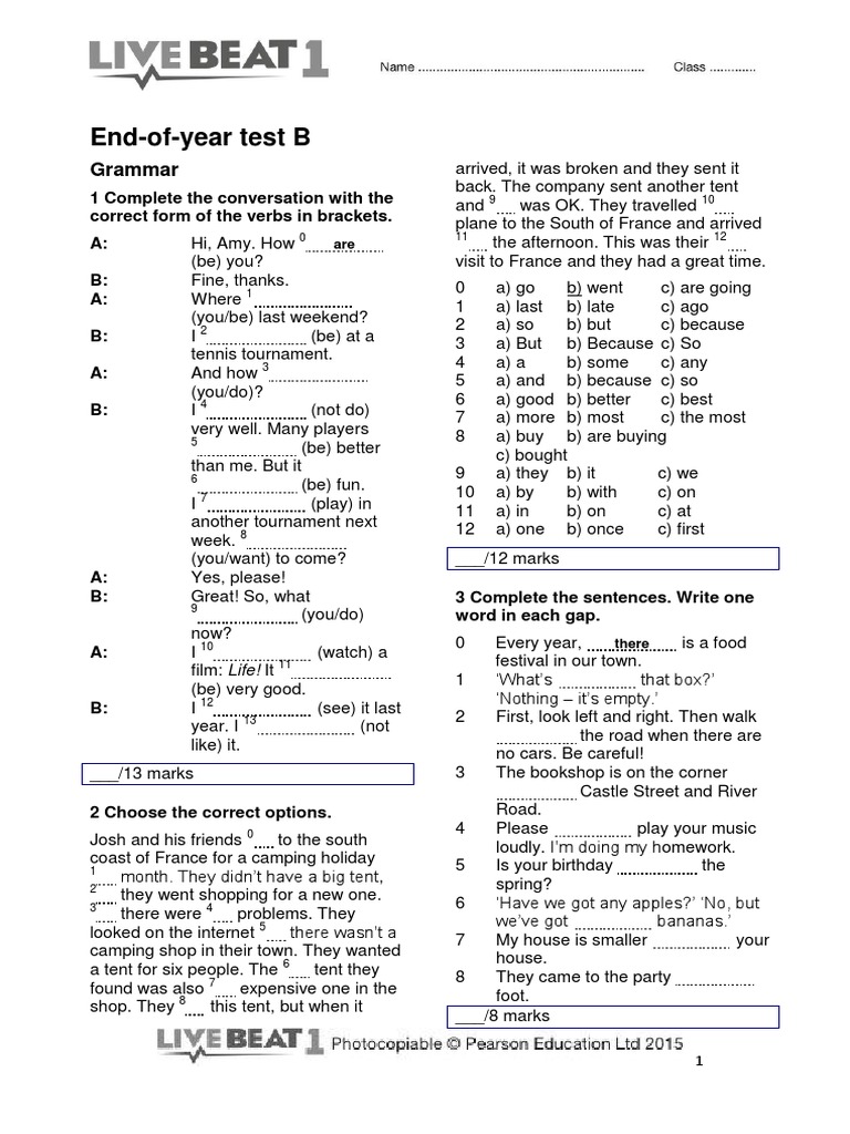 End-Of-Year Test B: Grammar | PDF