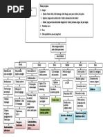 Woc Bronchopneumonia | PDF