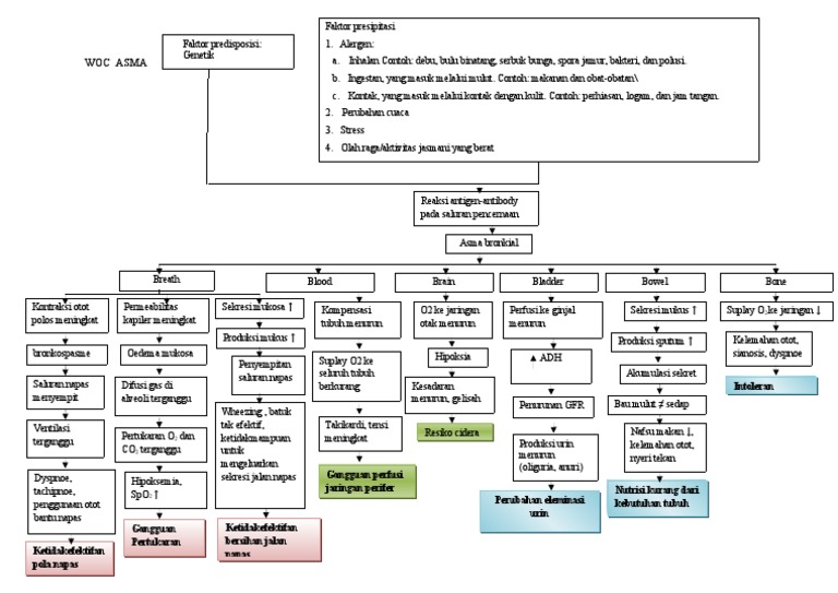 Woc Asma Bronchiale | PDF