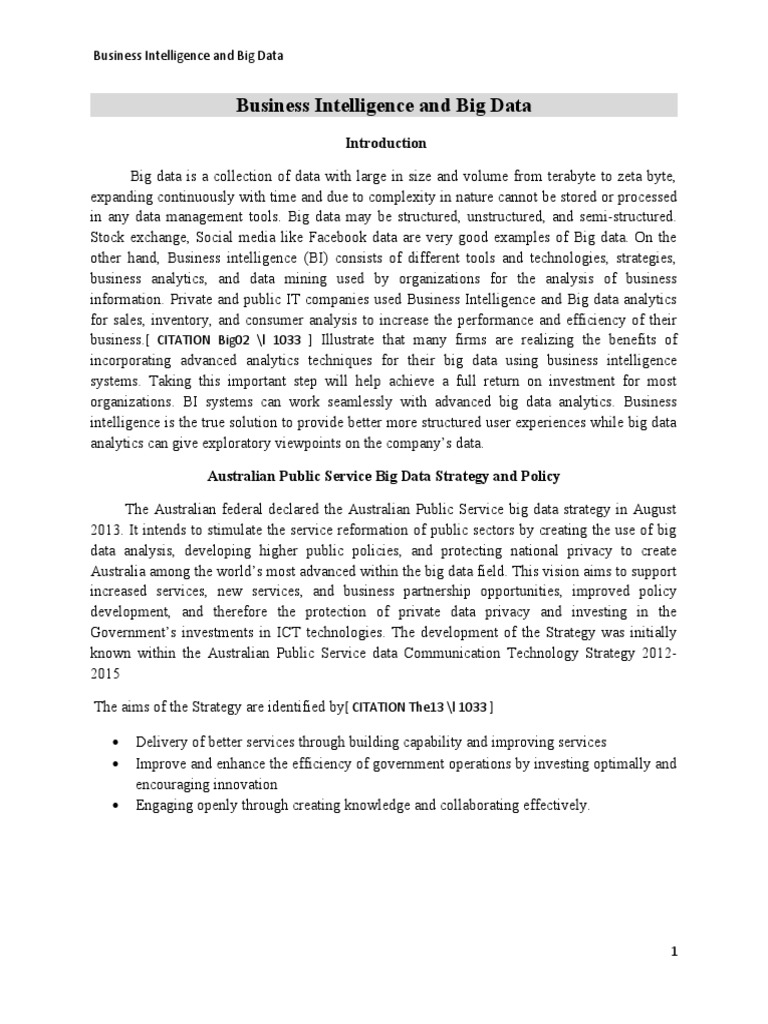 Business Intellignce and Big Data | PDF | Business Intelligence | Big Data