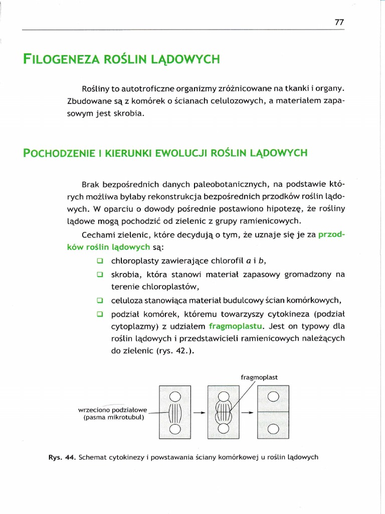 5 Filogeneza | PDF