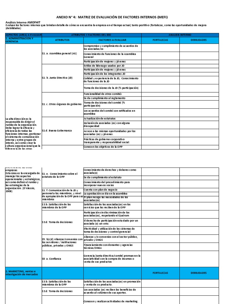 MATRIZ DE EVALUACIÓN DE FACTORES INTERNOS DE AMOFHIT | PDF | Marketing ...
